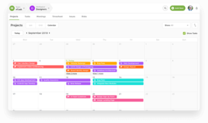 Top 8 Project Management Charts to Use in 2024 - nTask