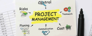 What is Project Management, Your Ultimate Guide on learning the Art - nTask