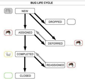 A Detailed Tutorial of the Defect Bug Life Cycle in Software Testing ...