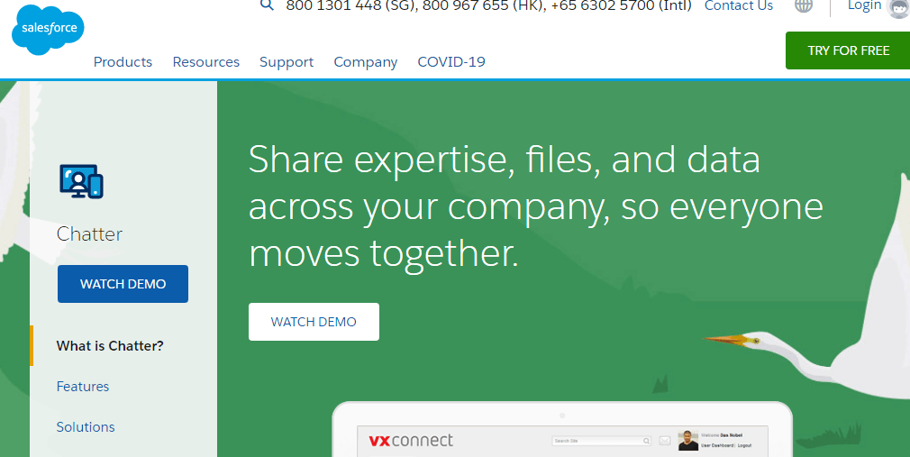 Salesforce Chatter Icon Help