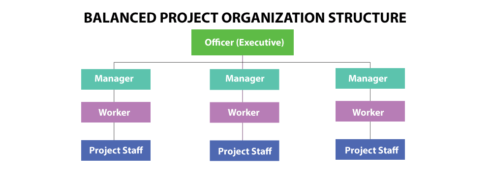 Multidivisional Organizational Structure